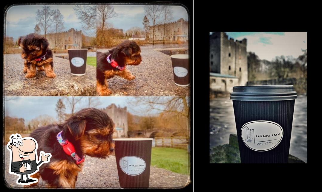 Barrow Brew in Irlanda - Restaurant reviews