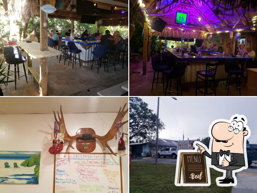 Top 7 pubs & bars in Key Largo, may 2025 - Restaurant Guru