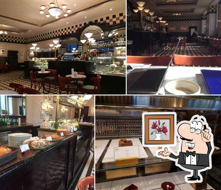 Best cafes in Warsaw, summer 2024 - Restaurant Guru