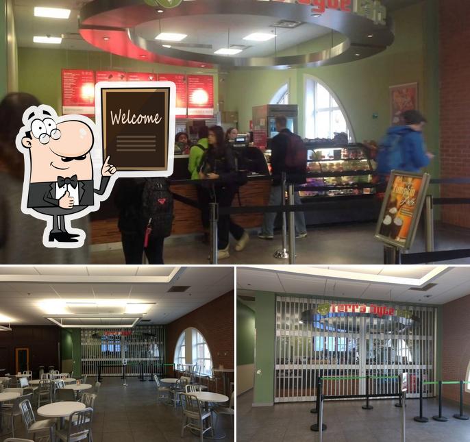 Terra Byte Café, Columbus - Restaurant menu, prices and reviews