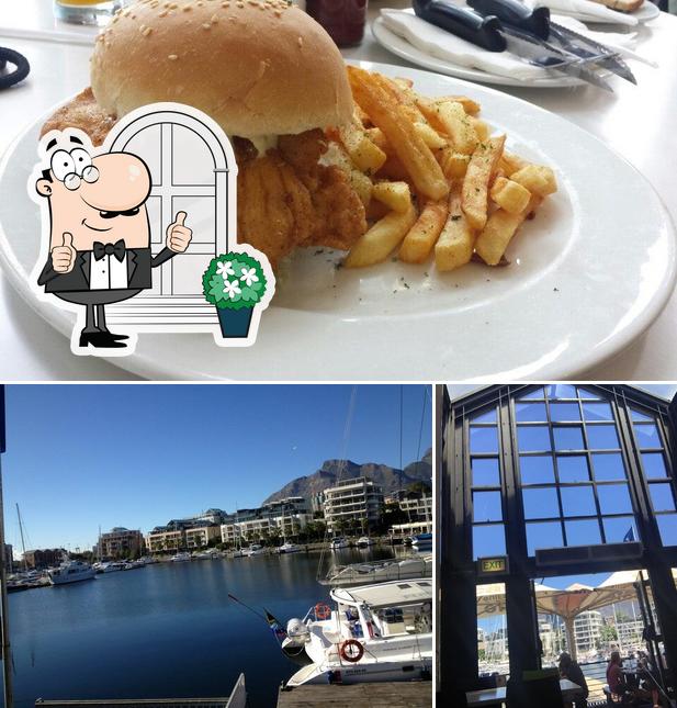 Bootlegger Coffee Company (Aquarium) cafe, Cape Town, Dock Rd ...