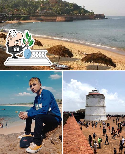 Tony's Shack, Candolim - Restaurant menu, prices and reviews