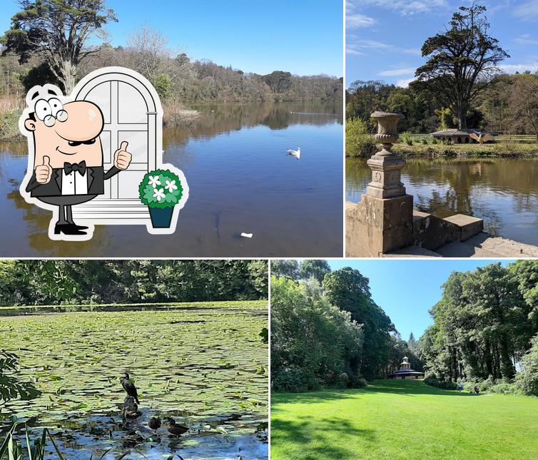 Aviary in Maybole - Restaurant reviews