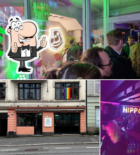 Hippo Social pub & bar, Oslo - Restaurant reviews