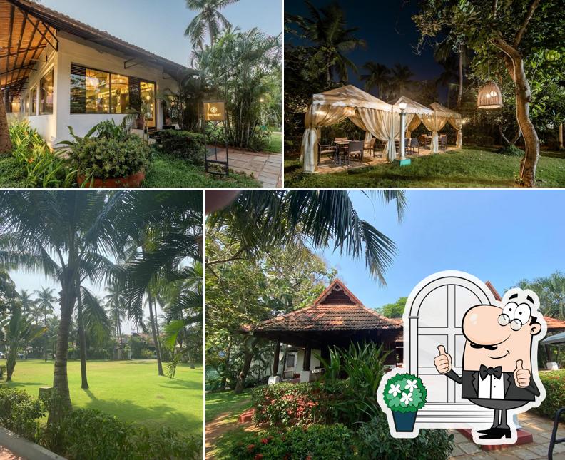 Bayroot, Chennai - Restaurant menu, prices and reviews