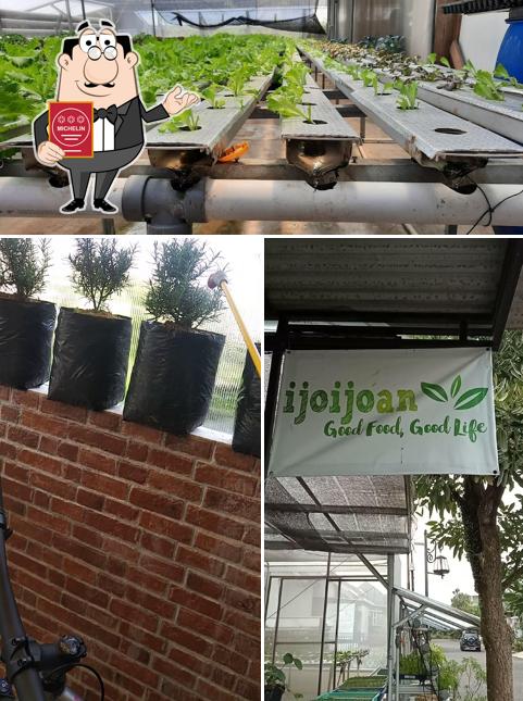 Ijoijoan Kitchen - Salad Grill Avocado restaurant, Bogor - Restaurant ...
