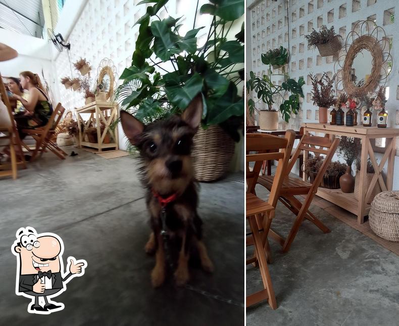Monstera Café Cultural, Fortaleza - Restaurant reviews