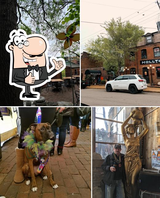 Molly's In Soulard in St. Louis - Restaurant menu and reviews