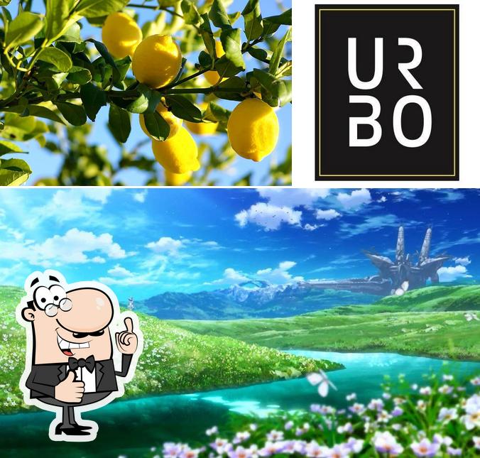 Urbo in Phoenix - Restaurant menu