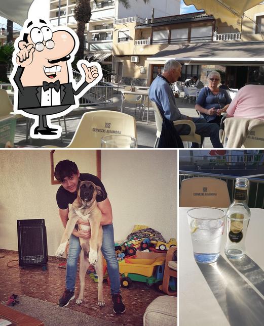 Pub y bar La Taberna de Algorfa, Algorfa, Calle Practicante Alberto Berenguer - Opiniones del ...