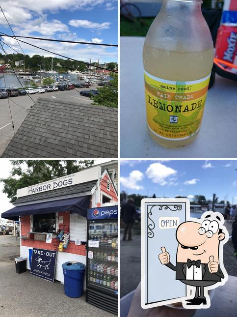 Harbor Dogs, 1 public landing in Camden - Restaurant menu and reviews