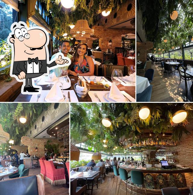 Restaurante Animal Masaryk, Ciudad de México - Carta del restaurante y ...