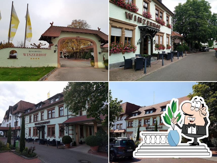 Winzerhof Rauenberg Restaurant