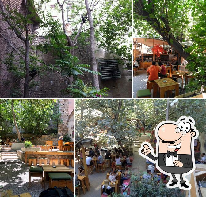 six d.o.g.s, Athens - Restaurant menu and reviews
