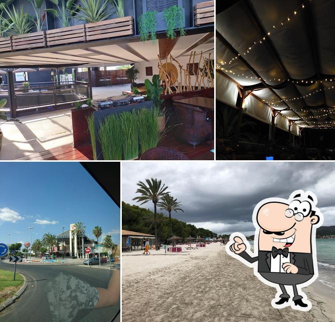 Best cocktail bars in Alcúdia, autumn 2023 - Restaurant Guru