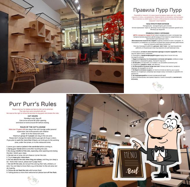Restauracja Purr Purr (Kocia Strefa od 12 lat), Warsaw - Restaurant ...