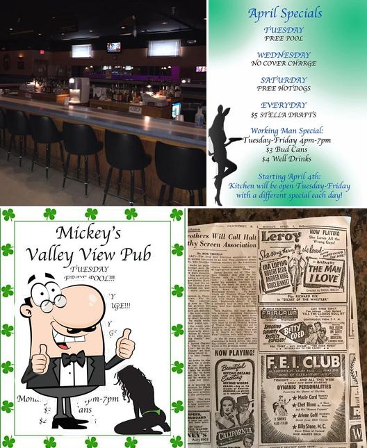 Mickey's Valley View Pub, Cumberland - Restaurant menu, prices and reviews