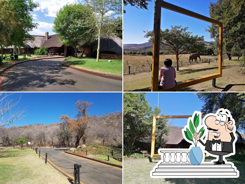 Top 5 restaurants for lunch in Pilanesberg National Park, january 2026 ...