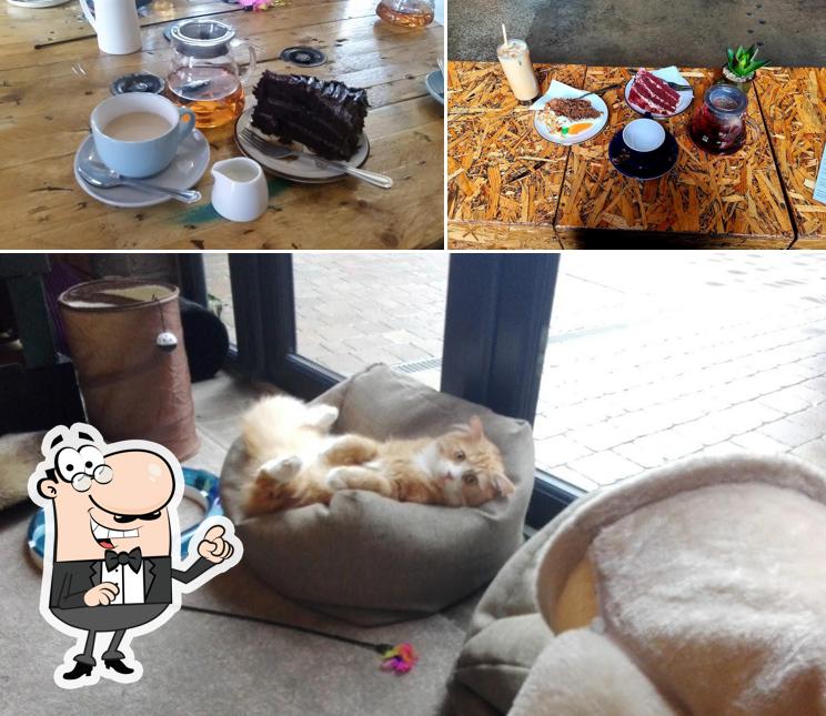 Tabby Teas in Sheffield - Restaurant menu and reviews