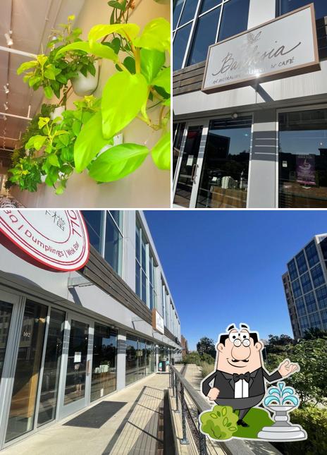 Banksia Cafe - South Plaza, Kansas City - Restaurant menu, prices and ...
