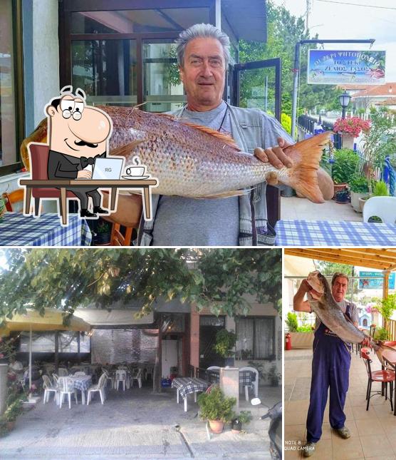 ΨΑΡΟΤΑΒΕΡΝΑ ΤΟ ΣΤΕΚΙ to Steki, Kyprinos - Restaurant menu, prices and ...