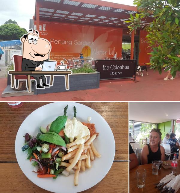 Waterfall Cafe, Kariong - Restaurant menu, prices and reviews
