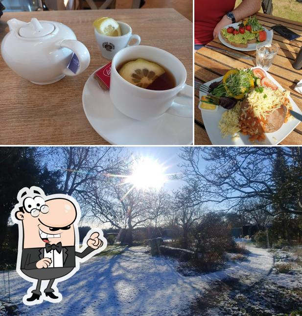 The Almonry Kitchen, Ely - Restaurant menu, prices and reviews