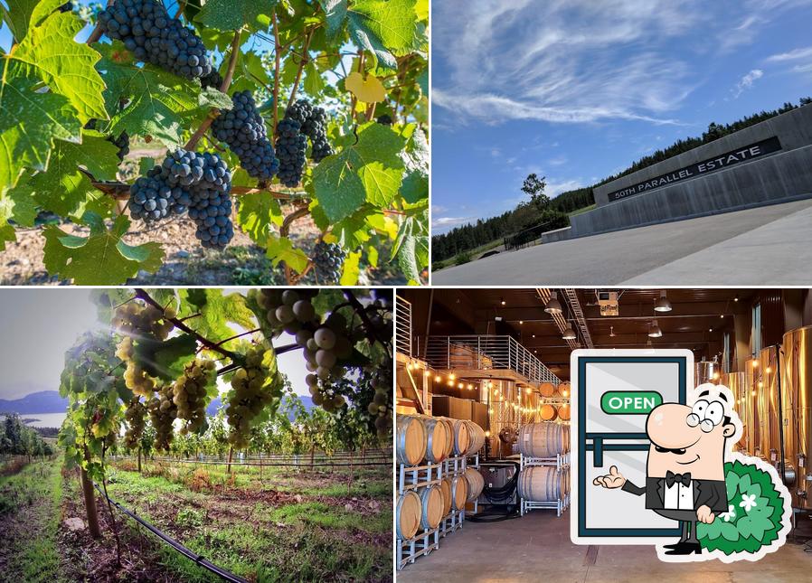 50th Parallel Estate Winery / BLOCK ONE Restaurant, Lake Country ...
