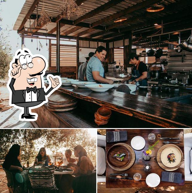 Restaurante Animalón, Ensenada - Opiniones del restaurante