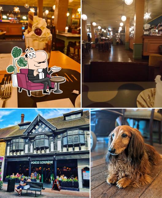 Poco Lounge in King's Lynn - Restaurant menu and reviews