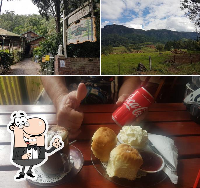 Two Pines Cafe, Natural Bridge - Restaurant menu, prices and reviews