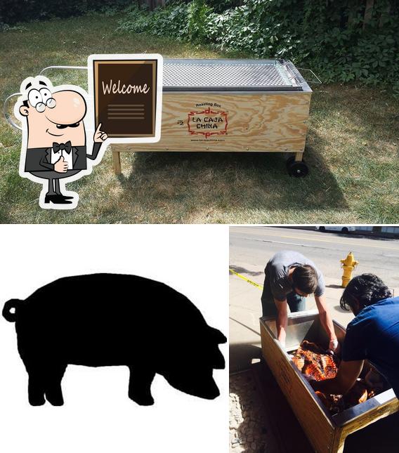 Pig in a Box in Denver