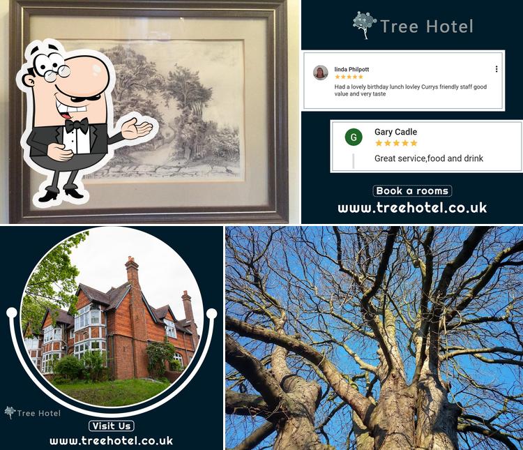 The Tree at Iffley, The Tree Hotel, 63 Church Way in Oxford ...