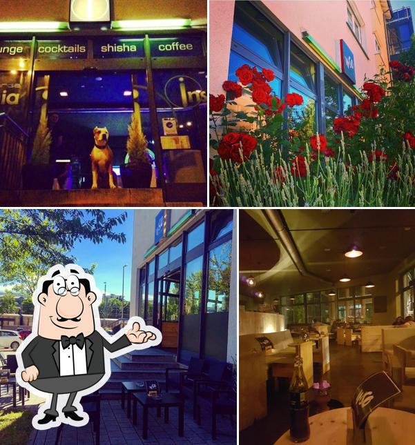 INSO Bar & Lounge Böblingen, Böblingen - Restaurant reviews