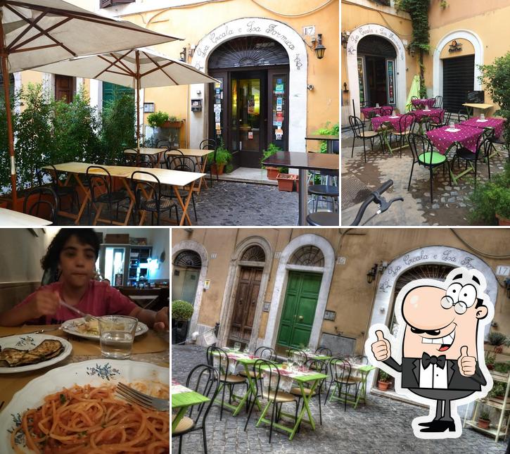 La Cicala E La Formica, Roma - Menu del ristorante, prezzi e recensioni