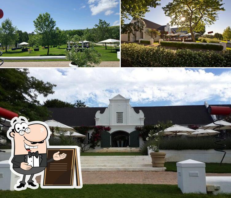 Peter Falke Wines, Cape Town - Restaurant menu, prices and reviews