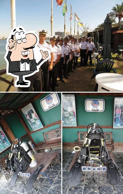 Diving Center restaurant, Alexandria - Restaurantbewertungen