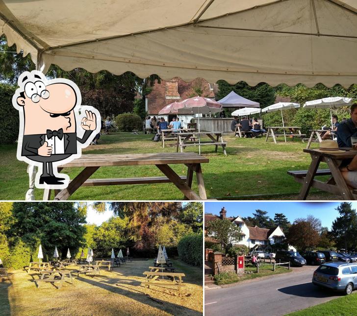 Abinger Hatch in Wotton - Restaurant reviews