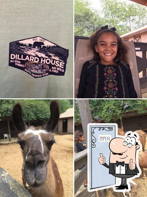 The Dillard House, Dillard - Restaurant menu, prices and reviews