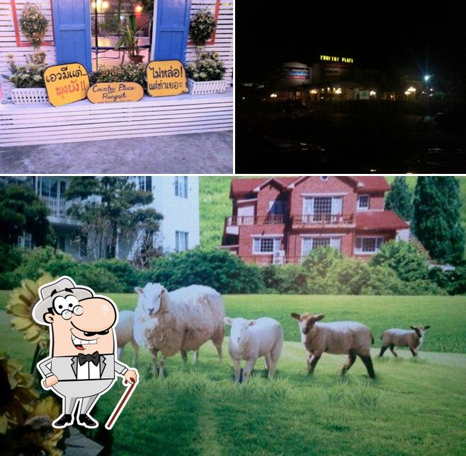Country Place Brewery, Rangsit - Restaurant menu, prices and reviews