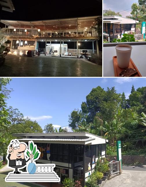 OliveTree Coffee Breakfast & Brunch restaurant, Bandung - Restaurant ...