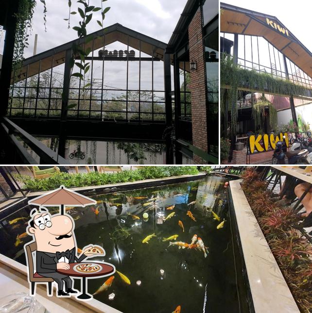 The KiWi Coffee cafe, Da Nang - Restaurant reviews