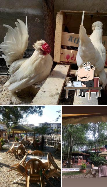 Atik Tea Garden - Restaurant menu, prices and reviews