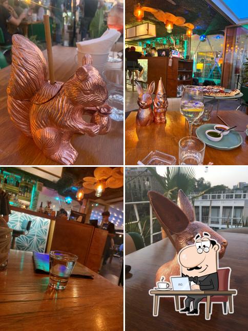 Barra Matilde Mi Amor, Guadalajara - Restaurant menu and reviews