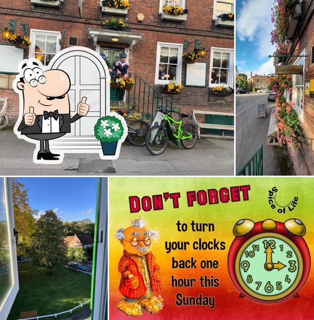 The Falcon Inn, Uxbridge - Restaurant menu, prices and reviews