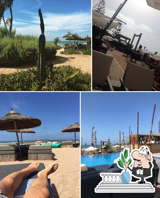 Babaloo Beach restaurant, Tamaris - Restaurantbewertungen