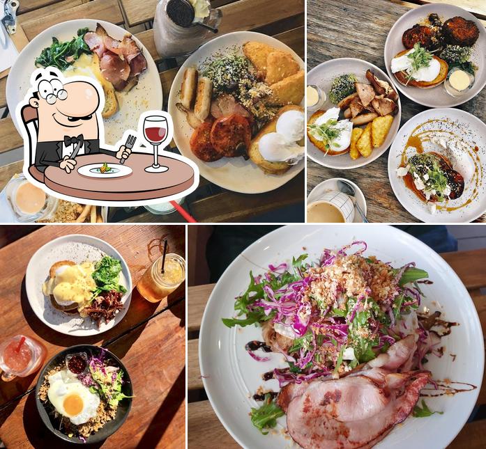 Surfing Lizard - Coogee in Coogee - Restaurant menu and reviews