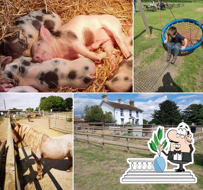 Boston Park Farm (Maize Maze), Auckley - Restaurant menu, prices and ...
