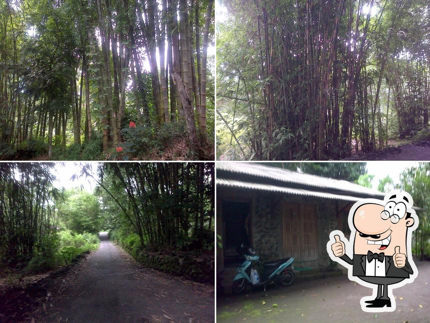 Gubug Kawitan Kampung Wisata Tanen restaurant, Hargobinangun ...