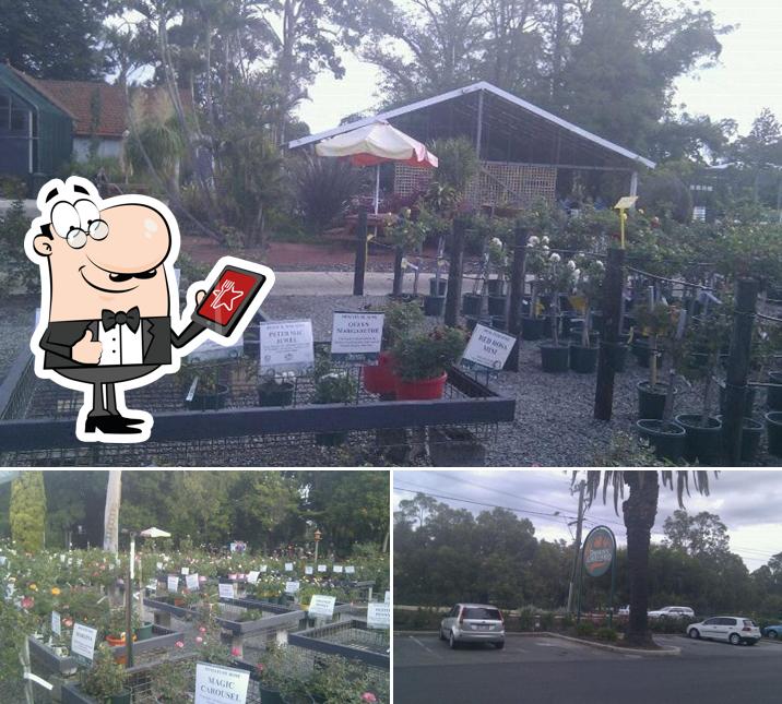 Dawsons Garden World, Forrestfield - Restaurant menu, prices and reviews